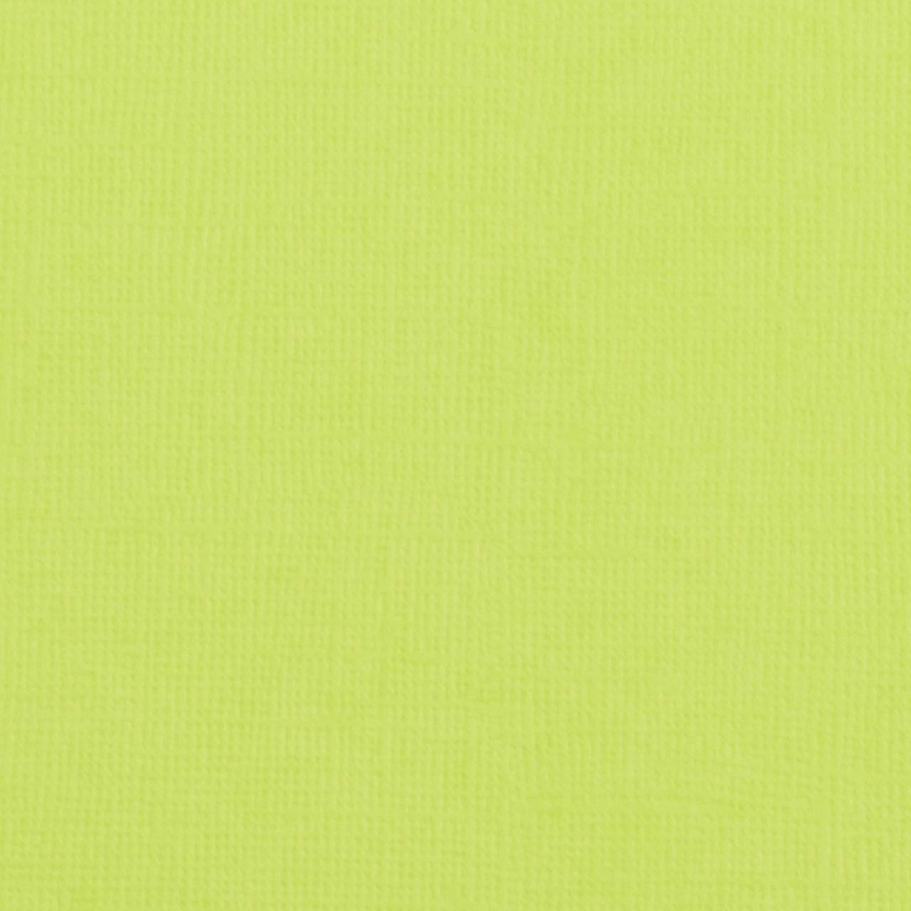 Cardstock Couleur : Pistache, 216g, lot de 20 feuilles - 30x30cm ...